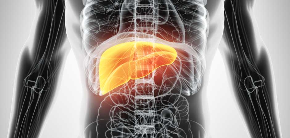 TCM: Understanding The Role Of The Liver
