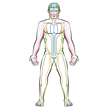 Understanding Basic TCM Terms
